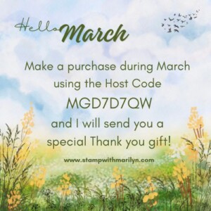 Using Designer Paper Scraps - Stamp with Marilyn